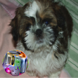 Fooling AI in real life with adversarial patches – adversarial designs